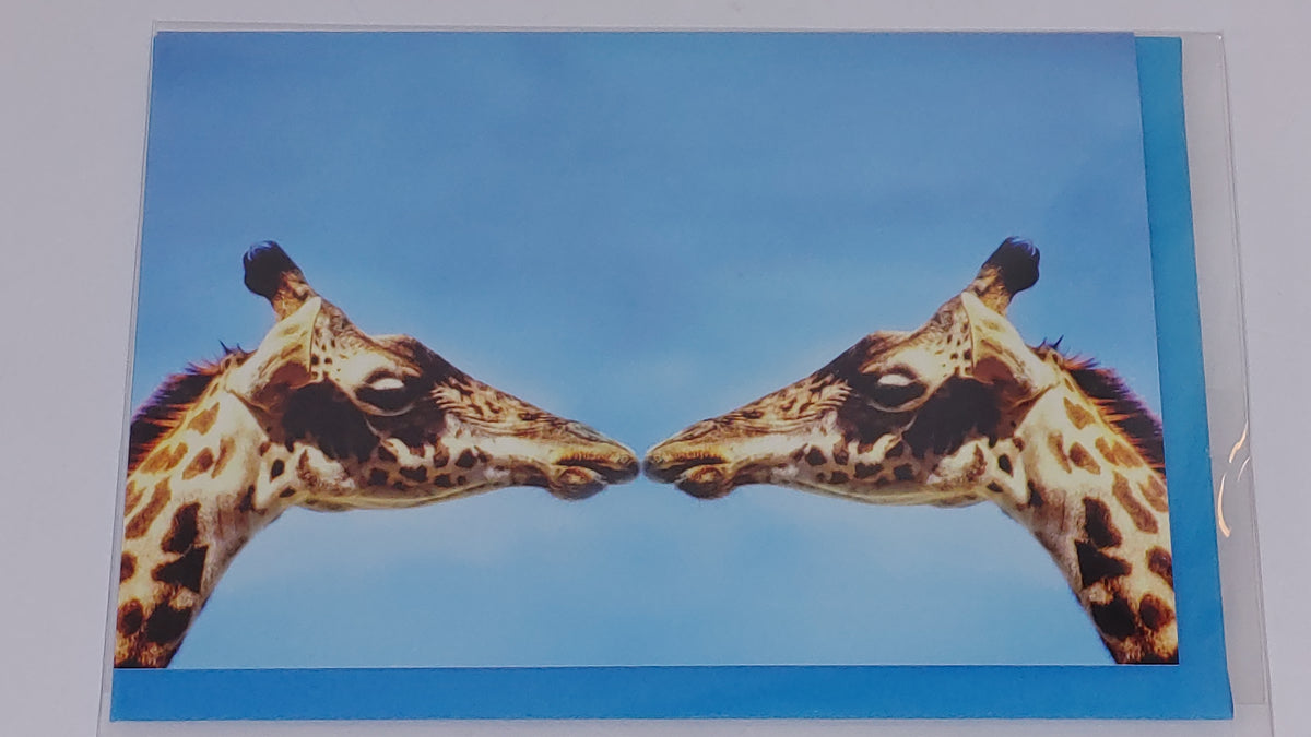 Giraffe Kisses – Symmetry - Home & Life